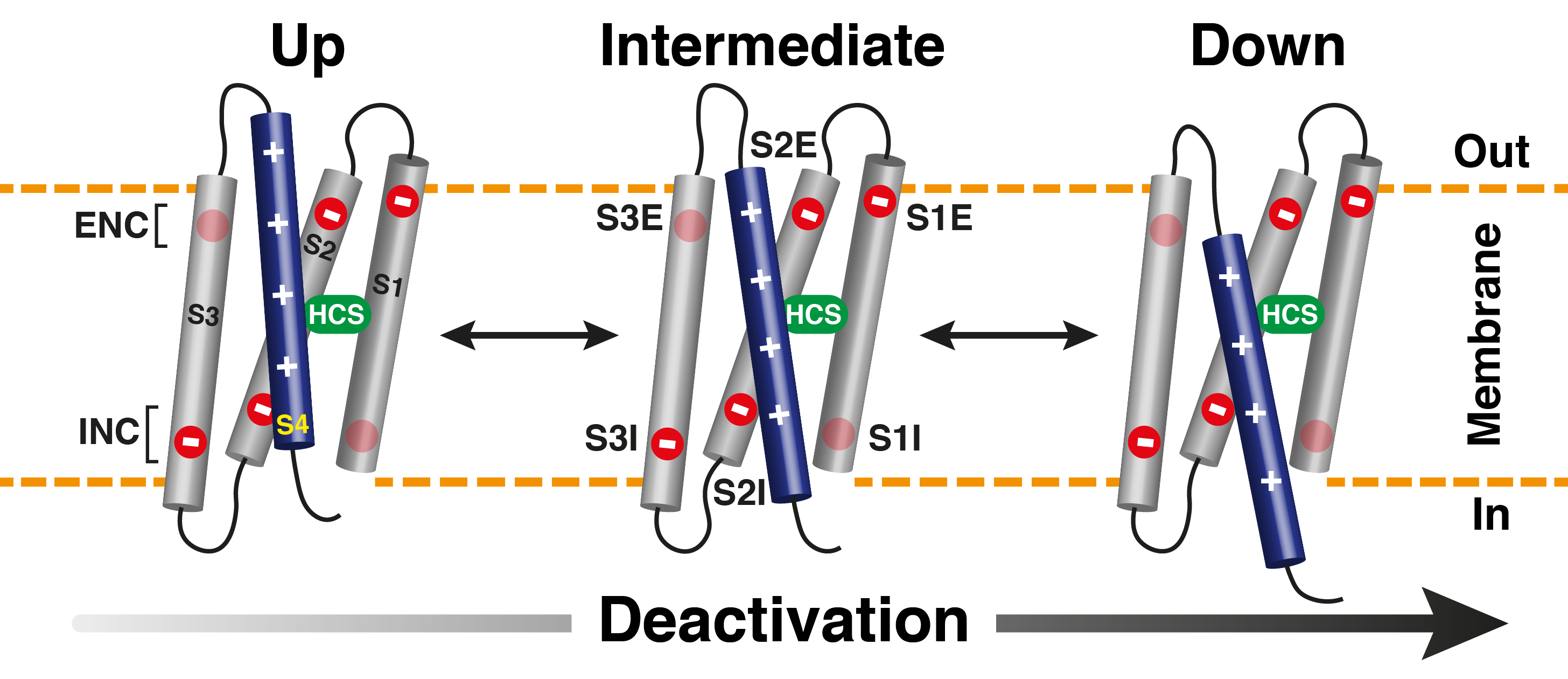 News – Jing Li Lab @ OleMiss